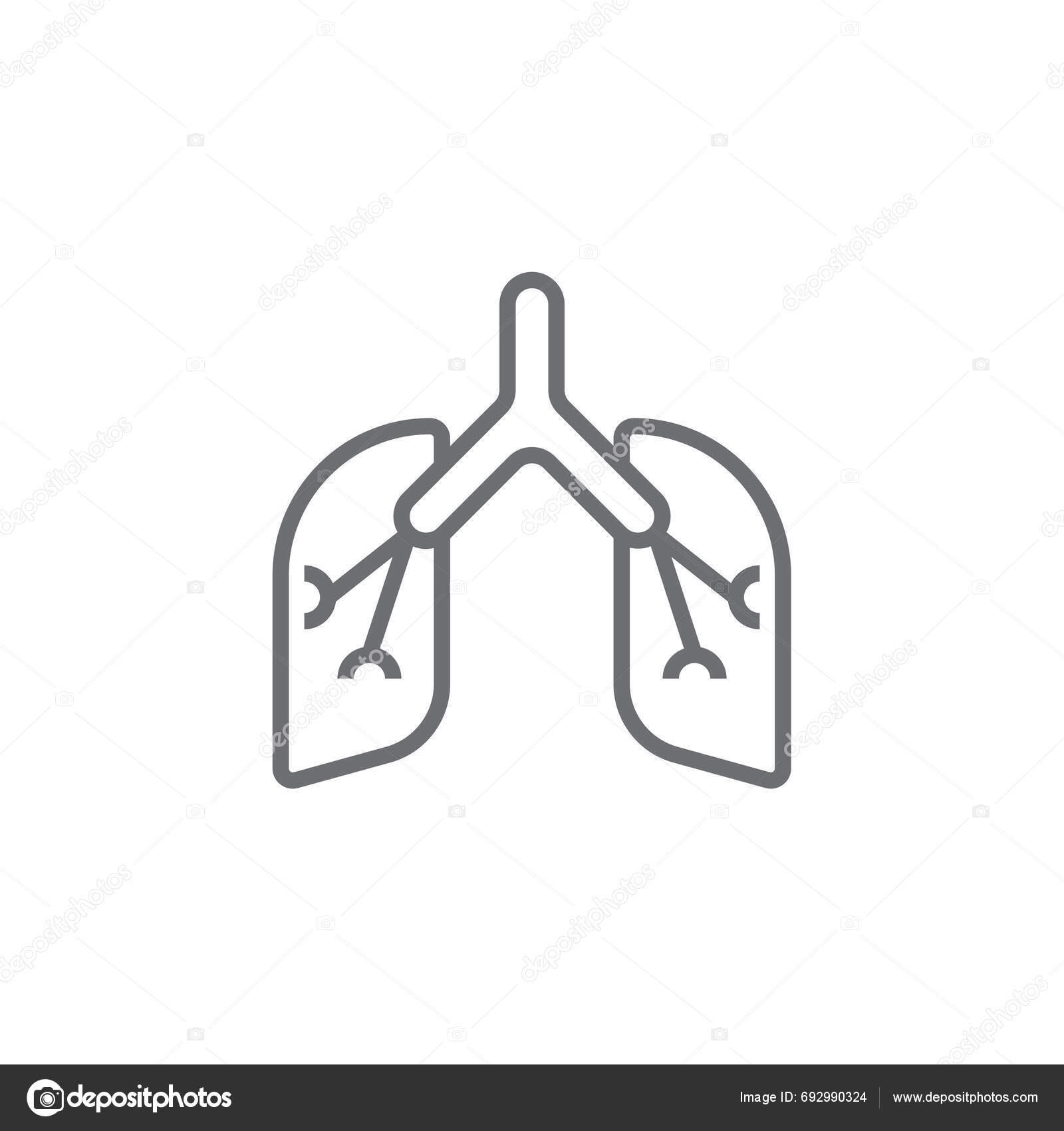 Lungs Digital Healthcare Icon Black Outline Style Medical Human Anatomy ...