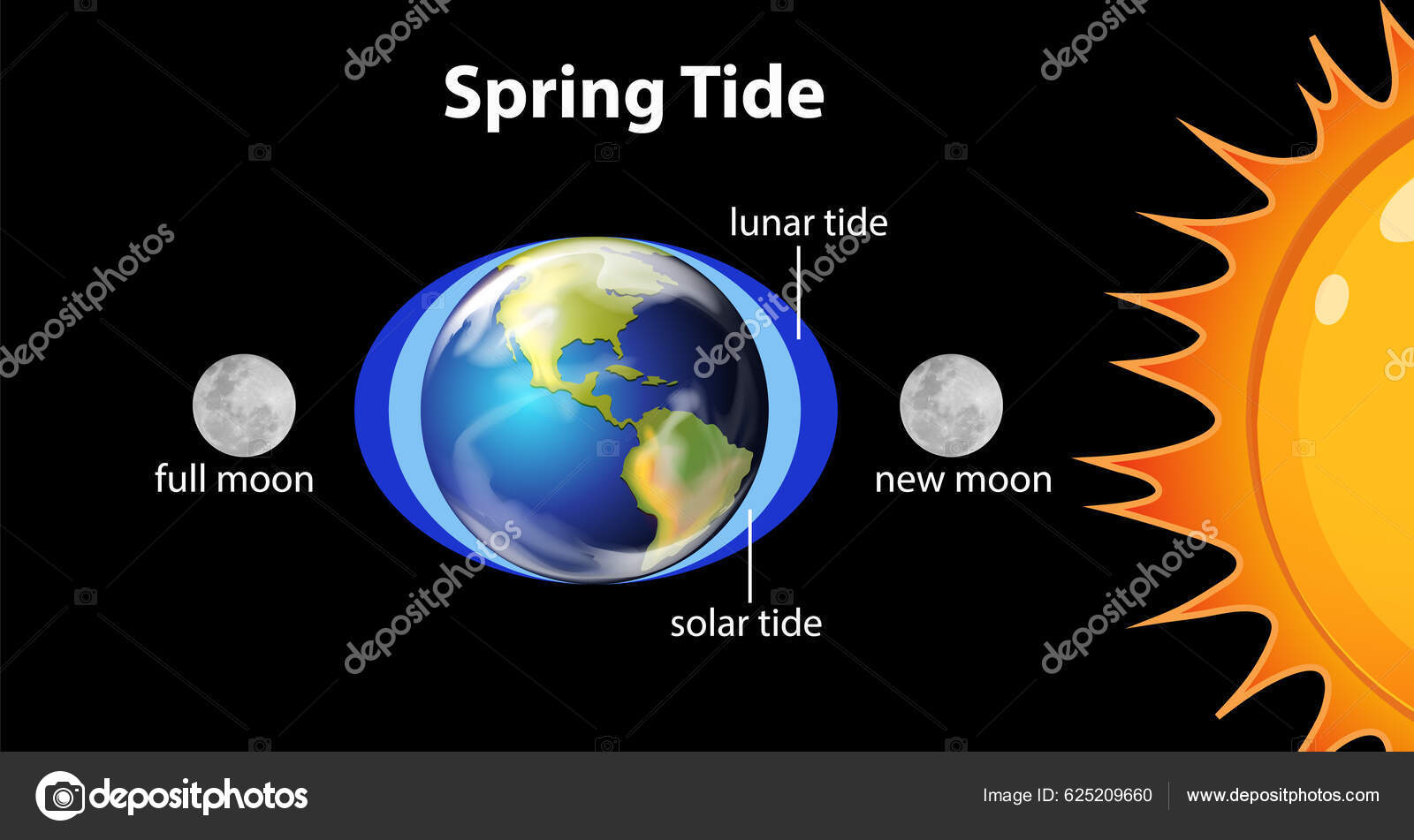 Diagram Showing Spring Tides Illustration Stock Vector by ...