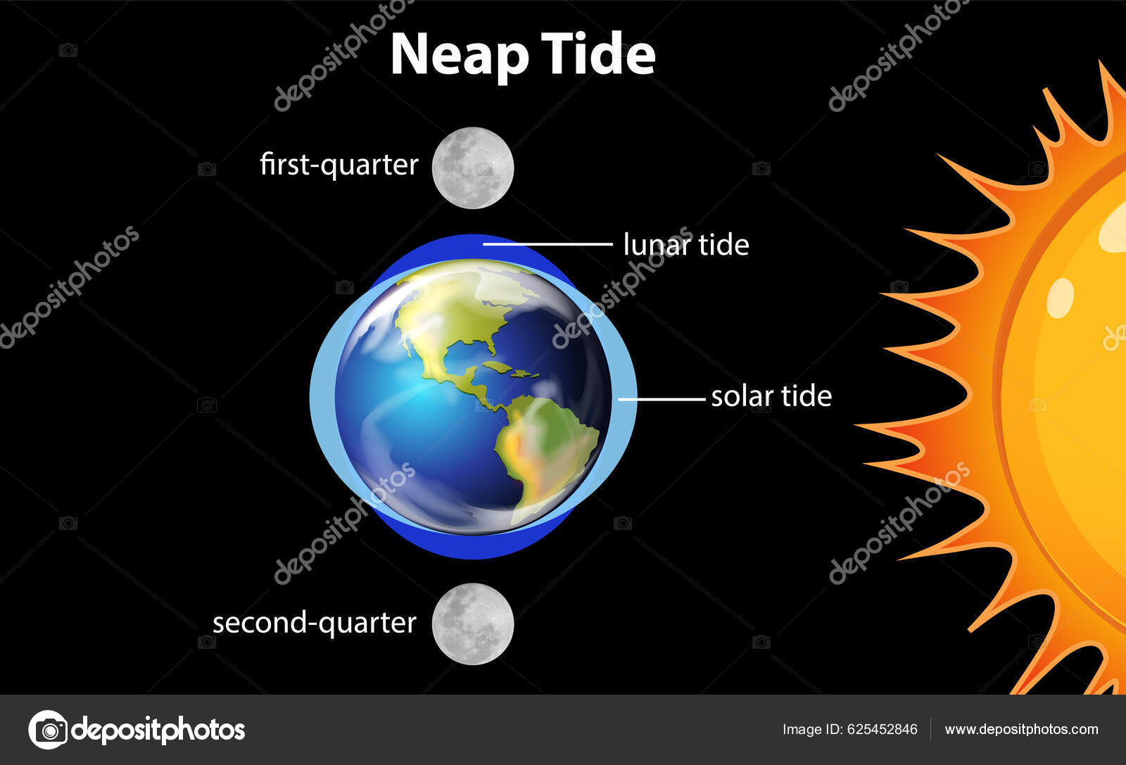 Diagram Showing Neap Tides Illustration Stock Vector by ©blueringmedia ...