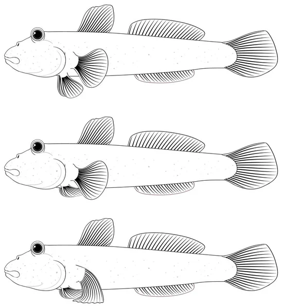 Mudskipper Movement Vector Concept Illustration Stock Vector by ©blueringmedia 643296528