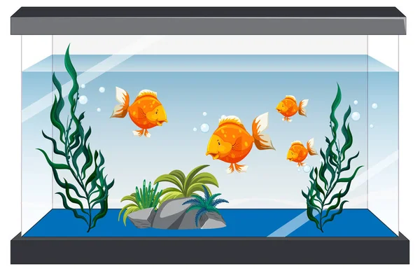 Fish Tank Clipart