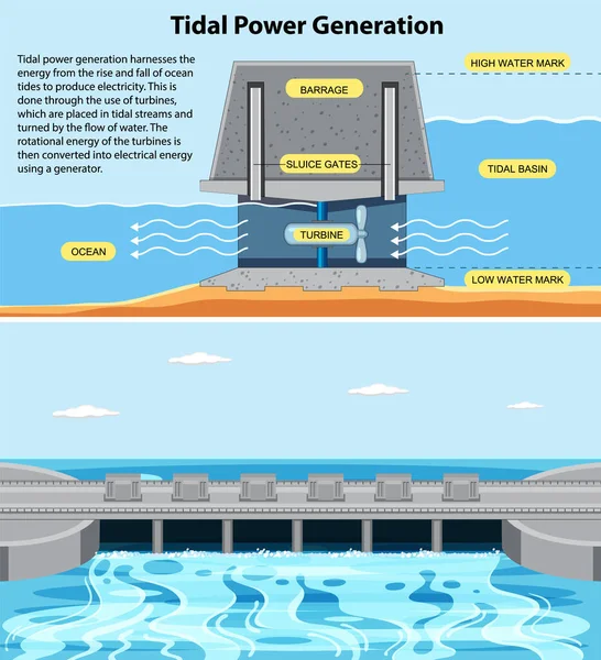 Tidal Energy Plant Diagram