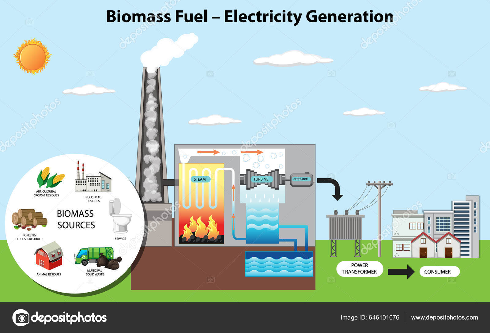 Illustration Des Diagramms Zur Stromerzeugung Aus Biomasse Stock ...