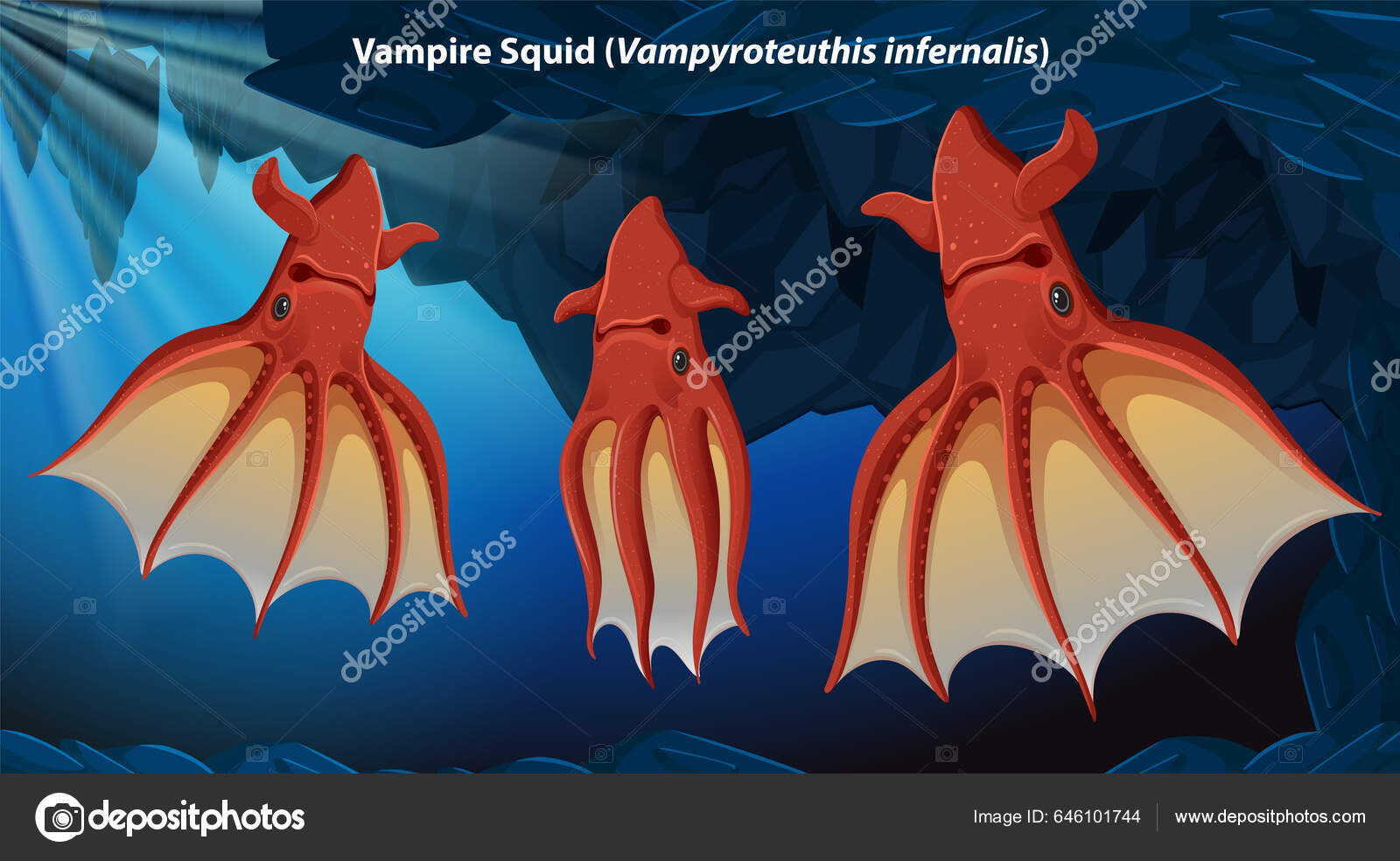Vampire Squid From Hell Drawing