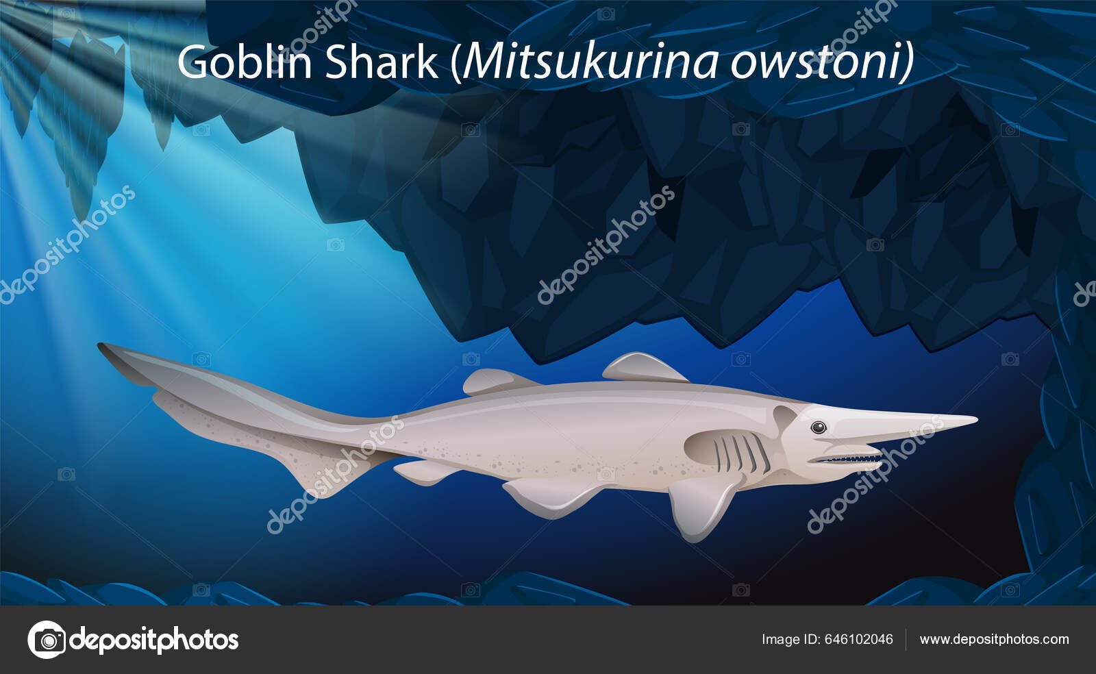 Goblin Shark Mitsukurina Owstoni Vector Design Illustration Stock Vector by ©blueringmedia 646102046