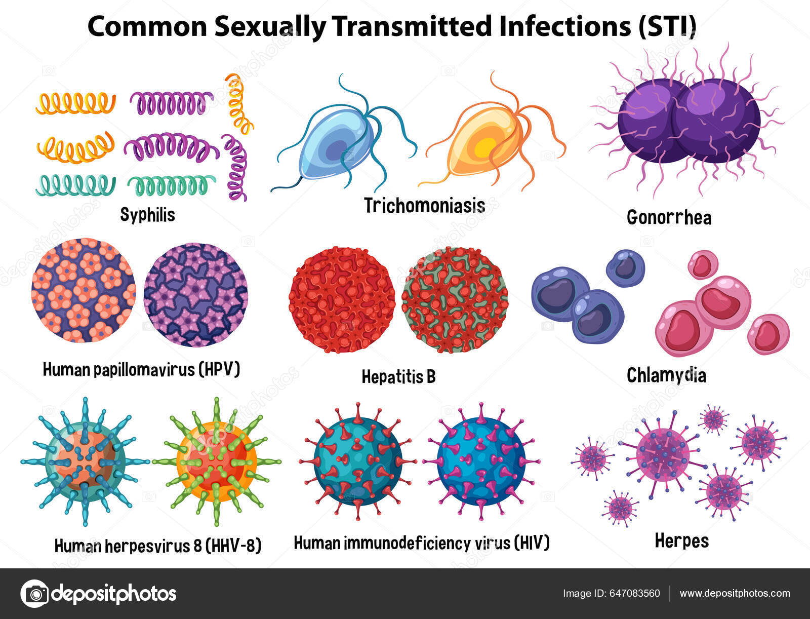 Infecciones Transmisión Sexual Its Comunes Ilustración Vector de stock #647083560 de ©blueringmedia
