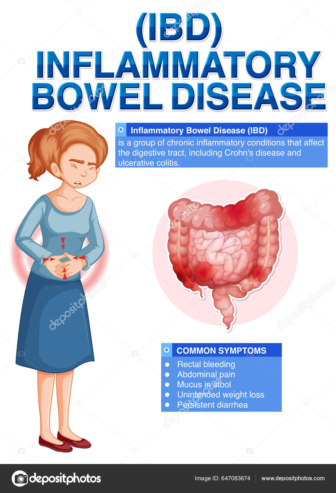 Inflammatorisk Tarmsjukdom Ibd Infographic Illustration — stockvektor ...