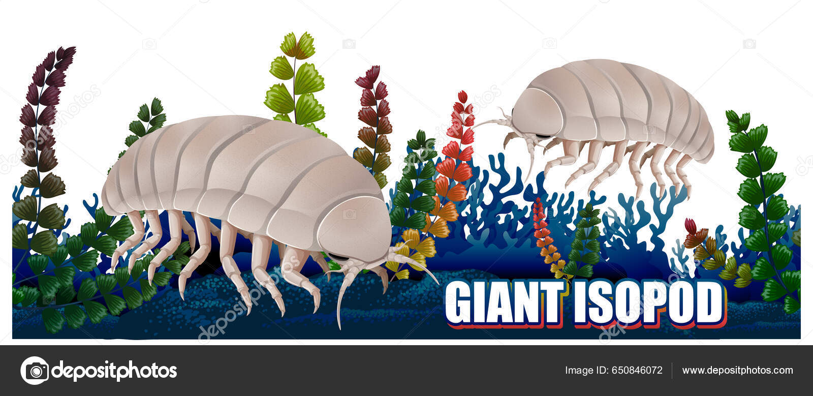 Isopé Gigante Ilustração Criatura Mar Profundo Vetor de ©blueringmedia ...