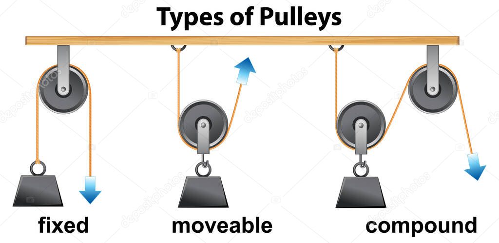 Diagrama ilustrado que muestra varios tipos de poleas 2024