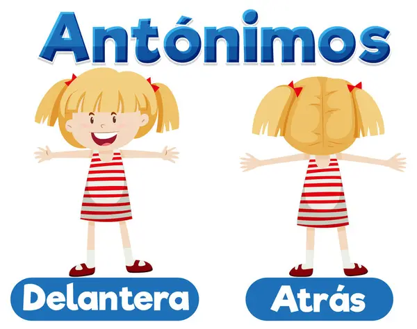 Illustrated Picture Word Card Spanish Education Antonyms Stock Vector ...