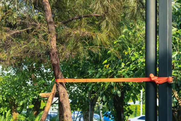 Poste tipo veracruz c brazo 1 20 mts poste 4mts tipo veracruz terminado ...