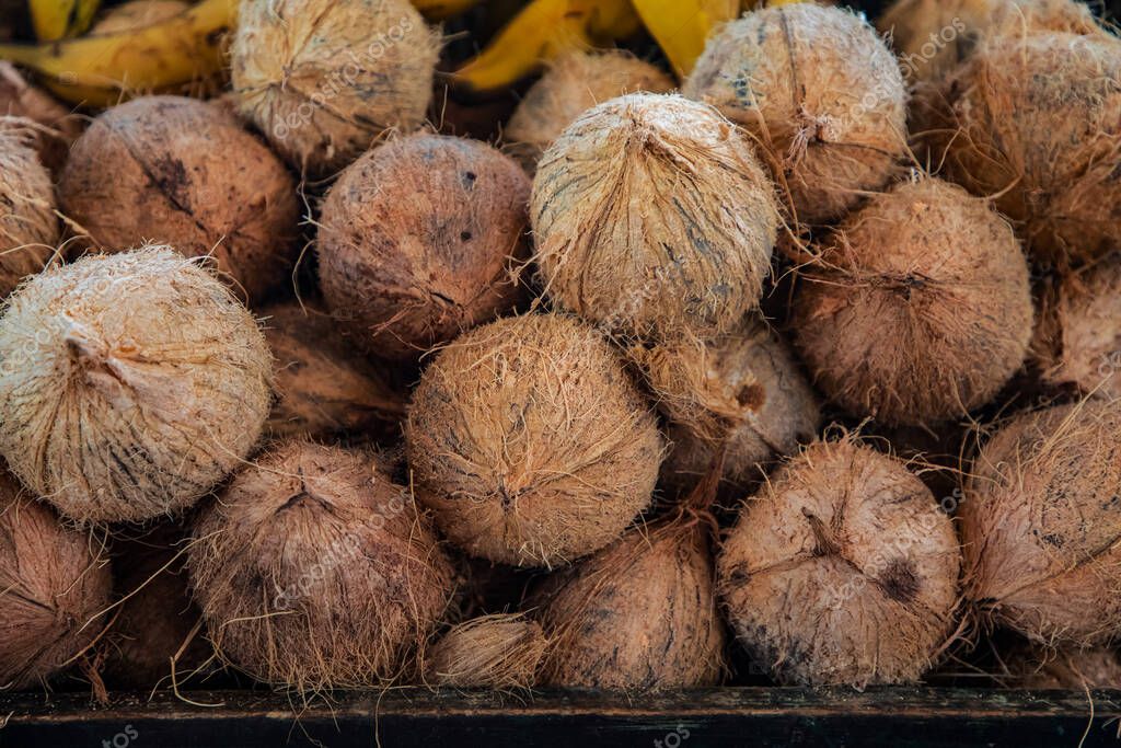 Foto macro de coco de frutas tropicales. Textura frutos secos peludos ...