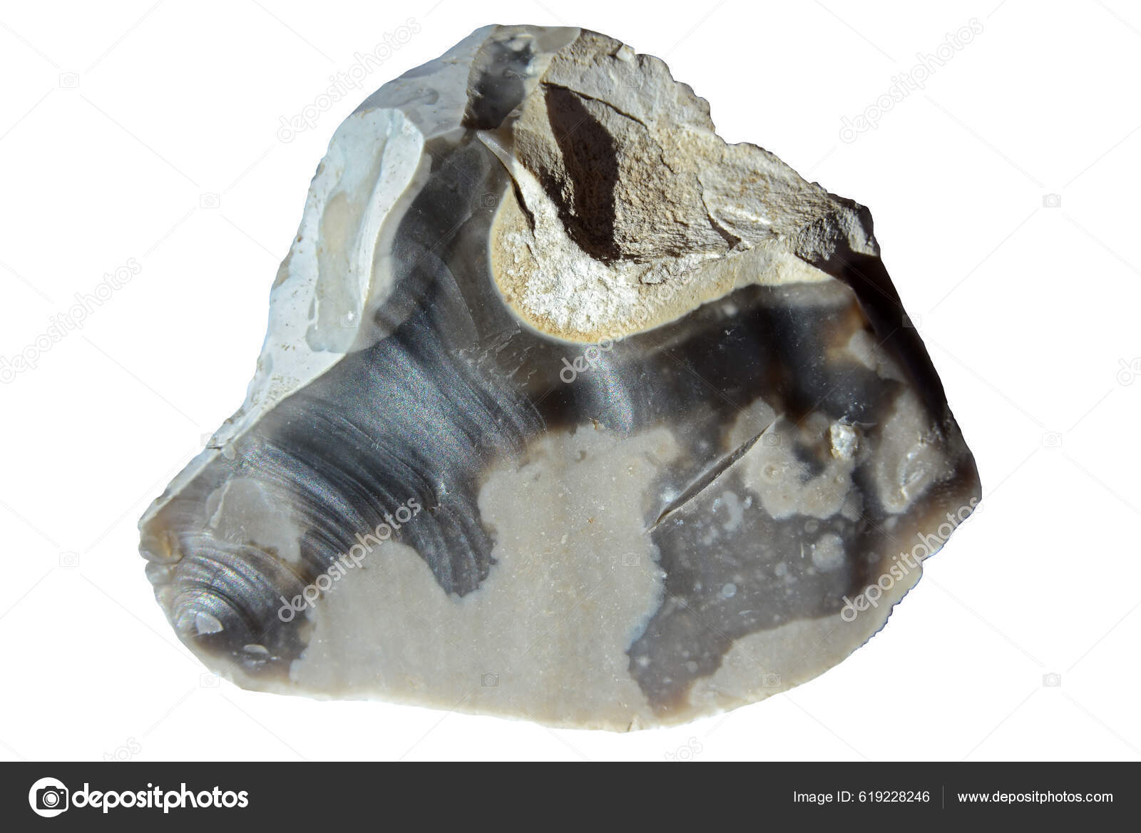 Ice Age Flint Scraper Made Neanderthals Dated Approximately 000 Years ...