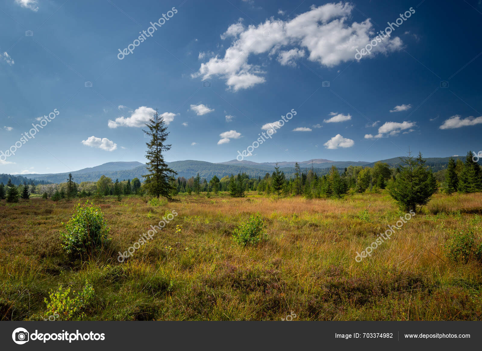 Mountain Panorama Tarnawa Peat Bog Peatland Bog Habitat Mountains ...