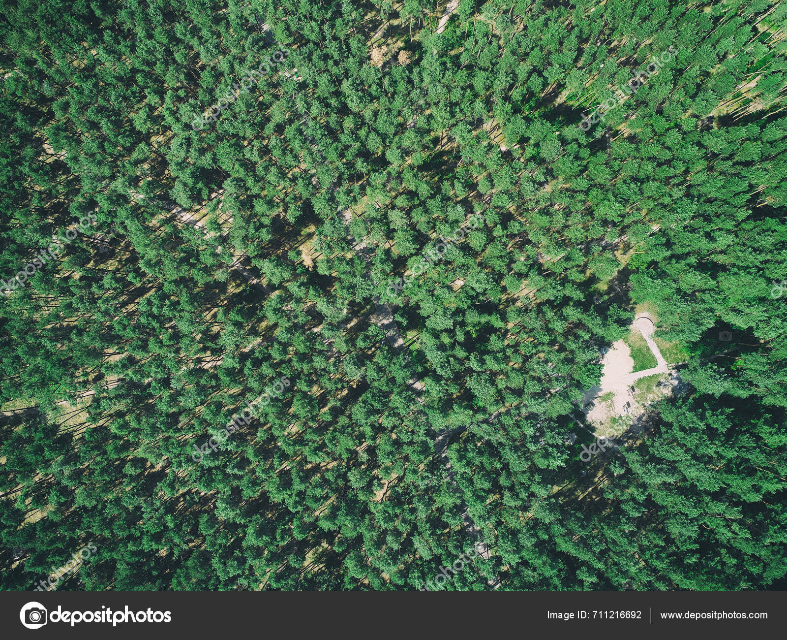 Forest Remote Sensing Drone Tree Health Assessment — Stock Photo ...