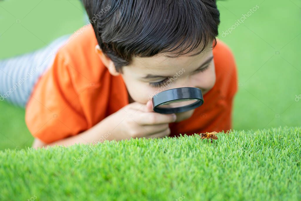 Foto de un niño curioso explorando el bosque con una lupa y mirando a ...