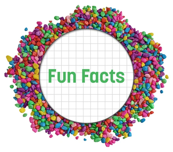 Fun Facts Text Written Dark Background Green Circular Element — Stock ...