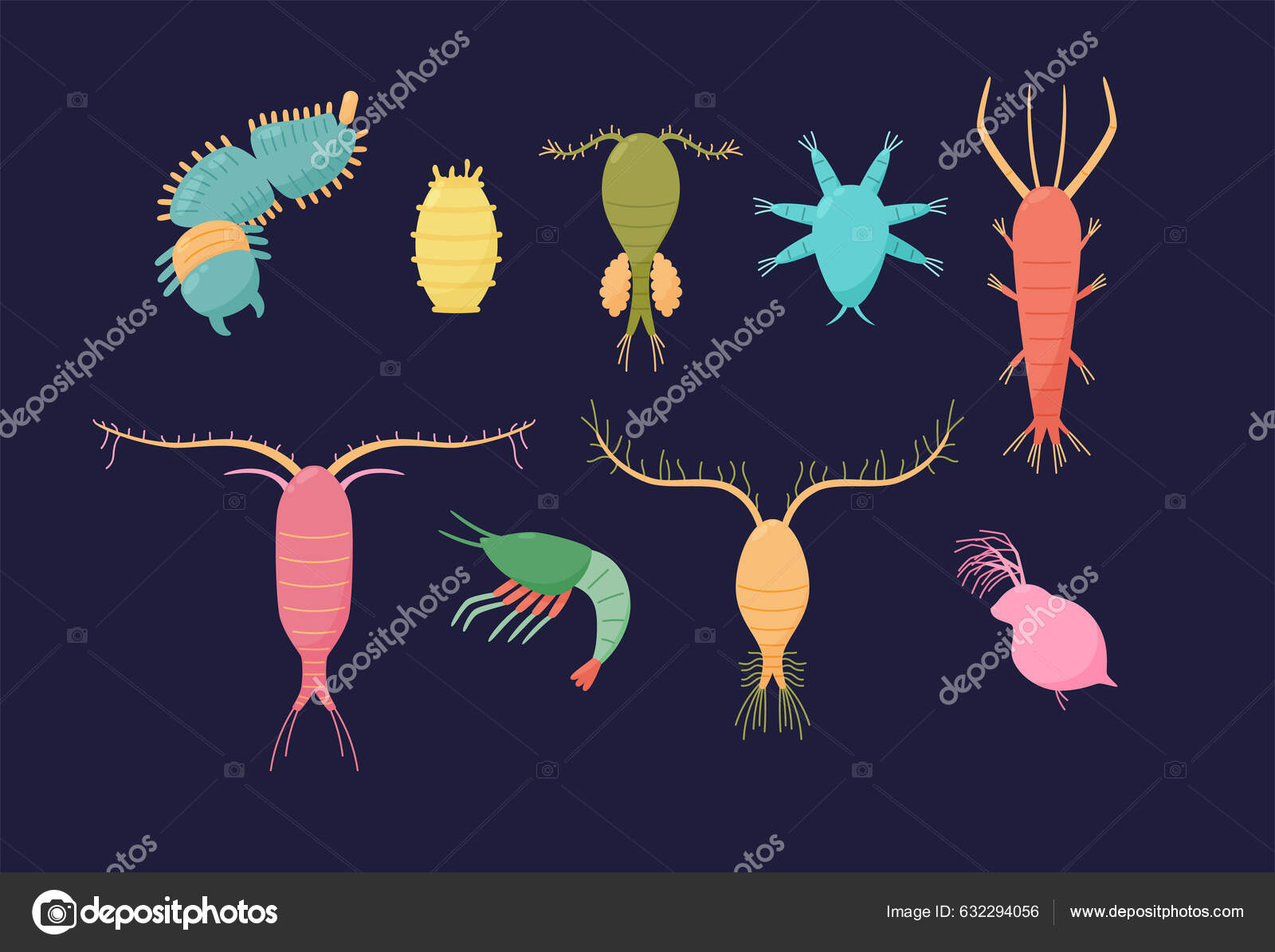 Pequeños Microscópicos Marinos Zooplancton Crustáceos Organismos ...