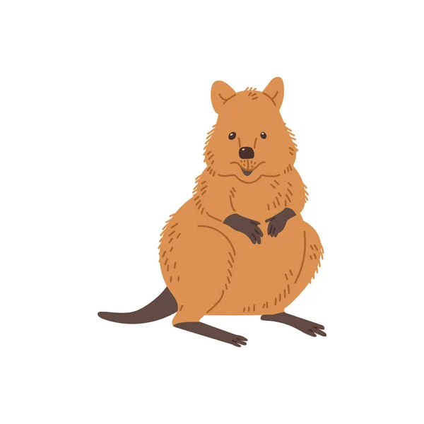 Funny Australian Quokka Cartoon Hand Drawn Character Flat Vector ...