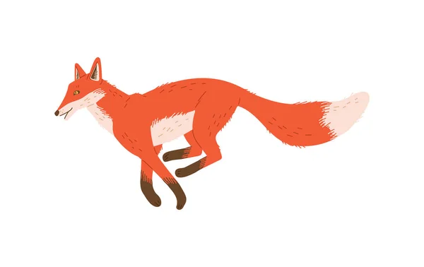 Red Fox Jumping Running Cartoon Flat Vector Illustration Isolated White ...