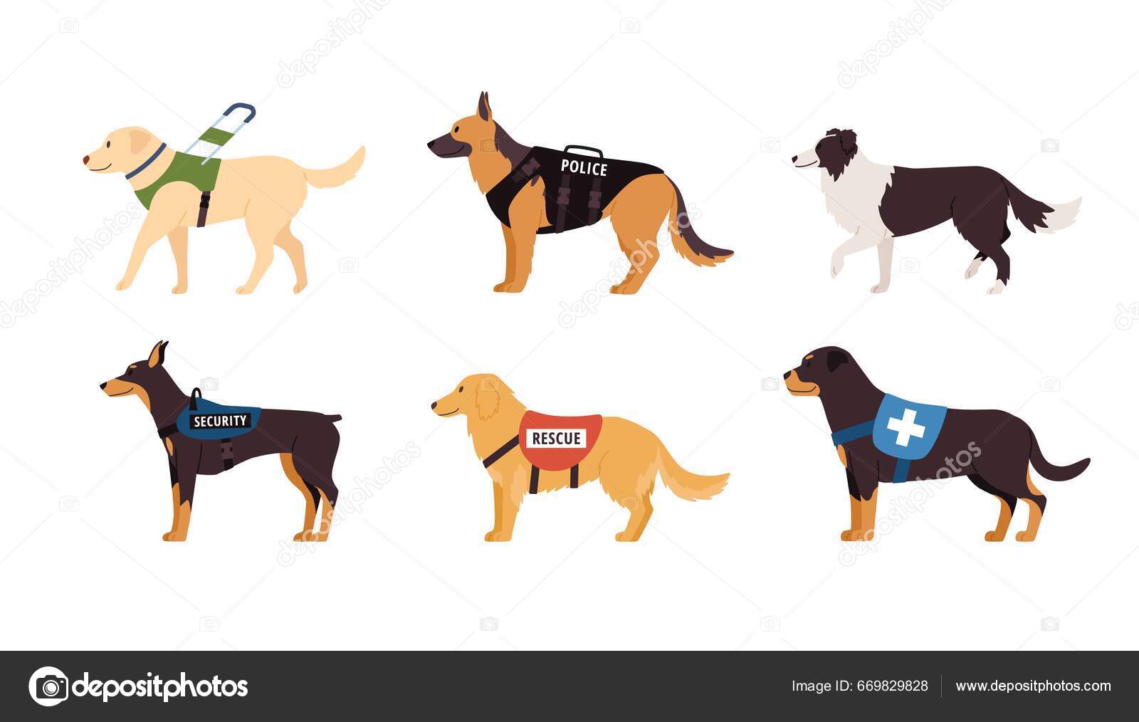 Various Assistance Working Dogs Set Flat Vector Illustration Isolated ...