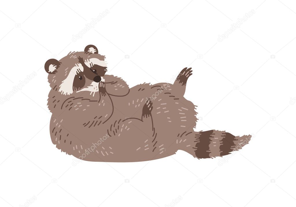 Adorable mapache acostado en el personaje de dibujos animados espalda ...