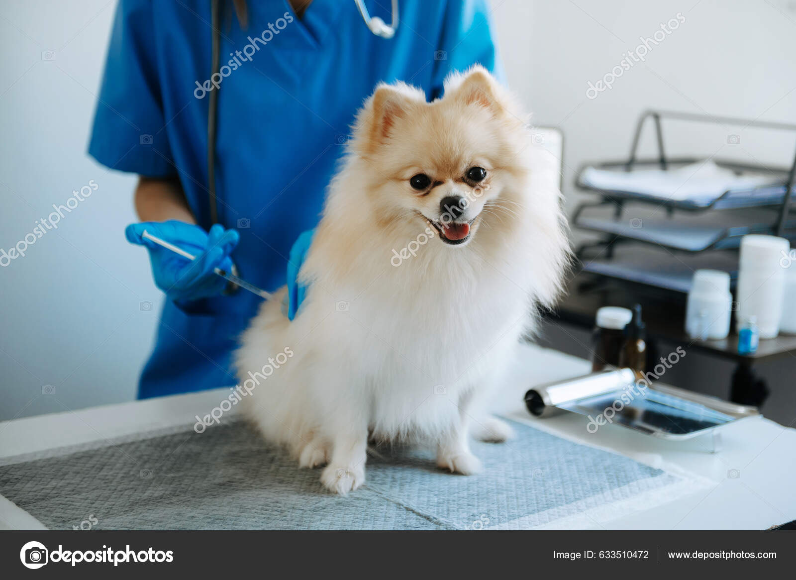 Where Are Dog Vaccines Injected