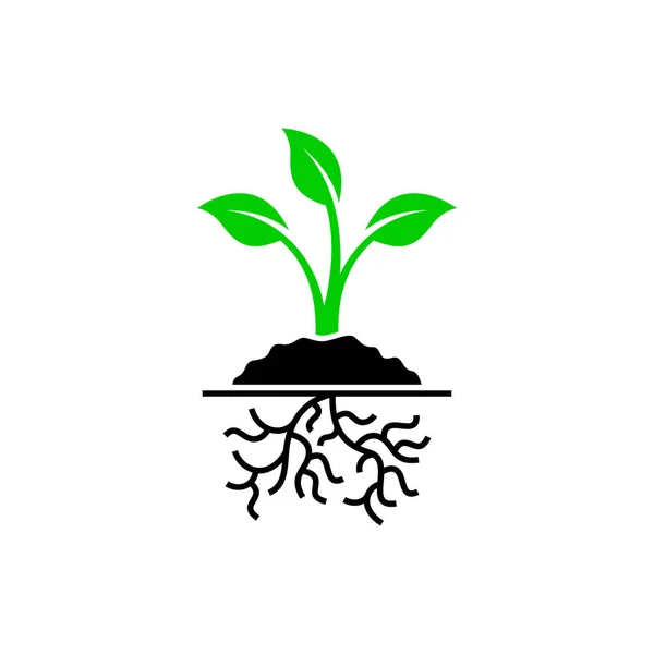 100,000 Plantas transplantadoras Vector Images | Depositphotos