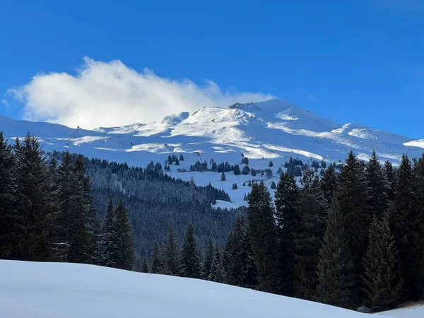 The last rays of the late afternoon sun on the alpine winter snowy ...
