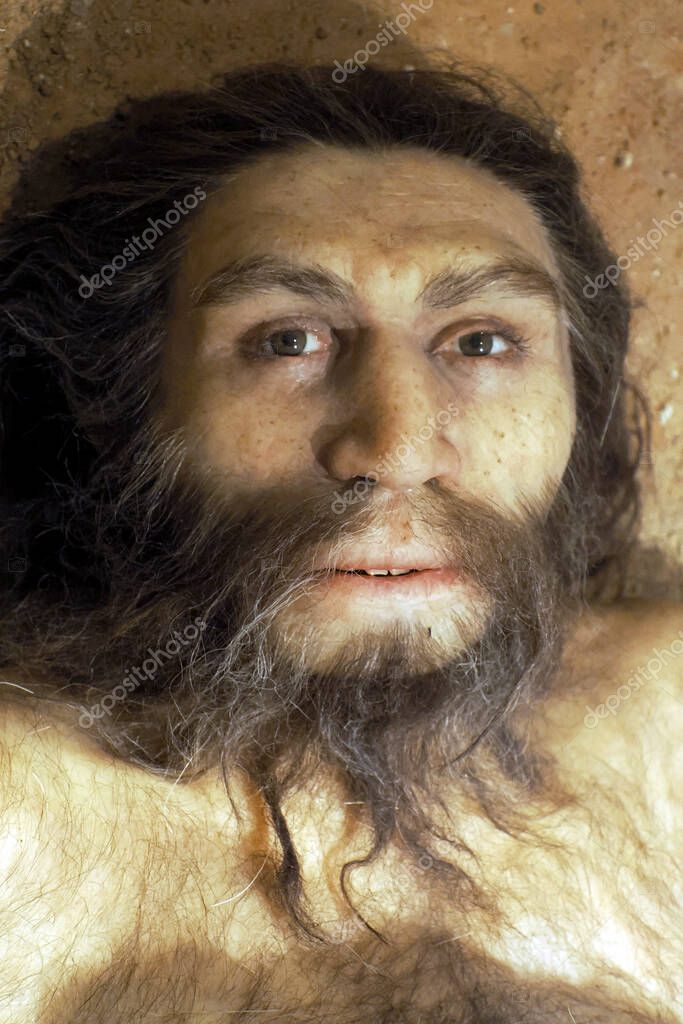 Neanderthal prehistórico hombre lucy estilo evolución despliegue ...