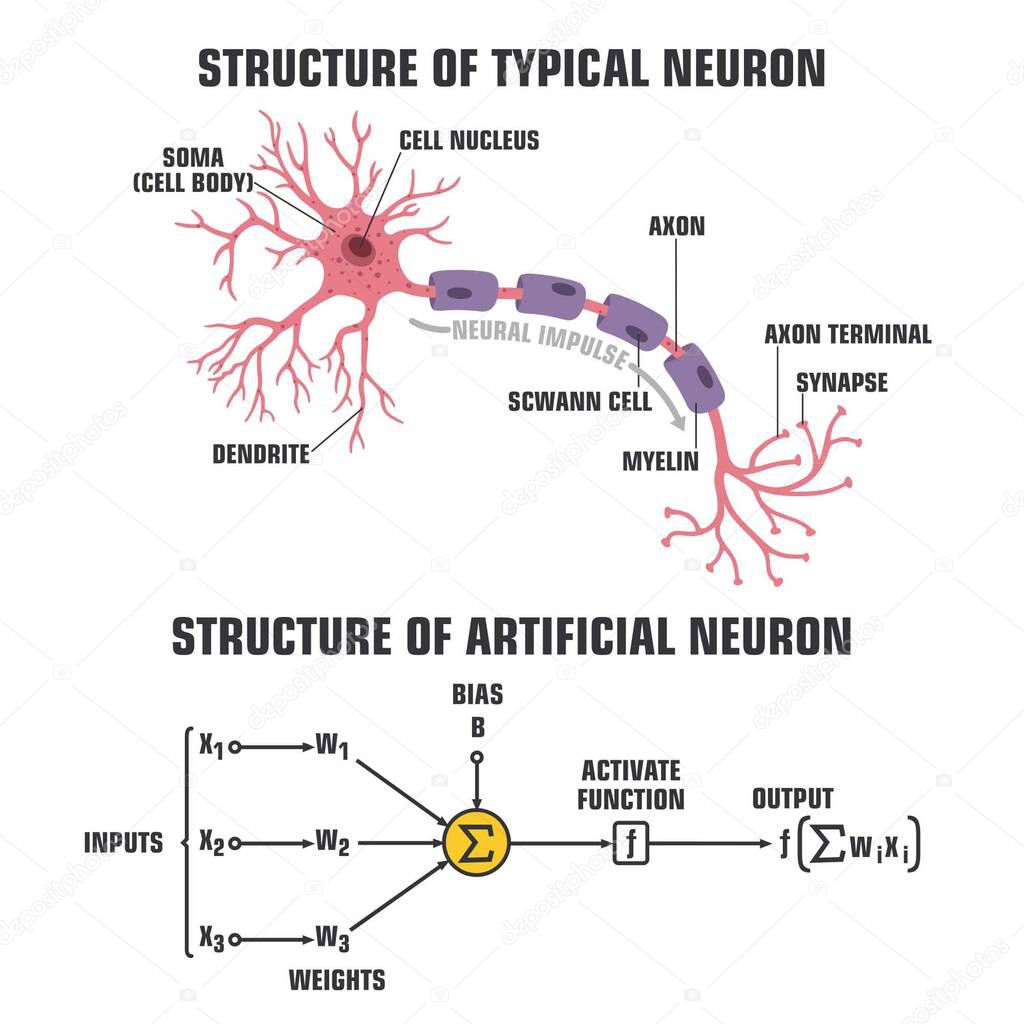 Estructura del icono científico vectorial de neurona y sinapsis. 2025