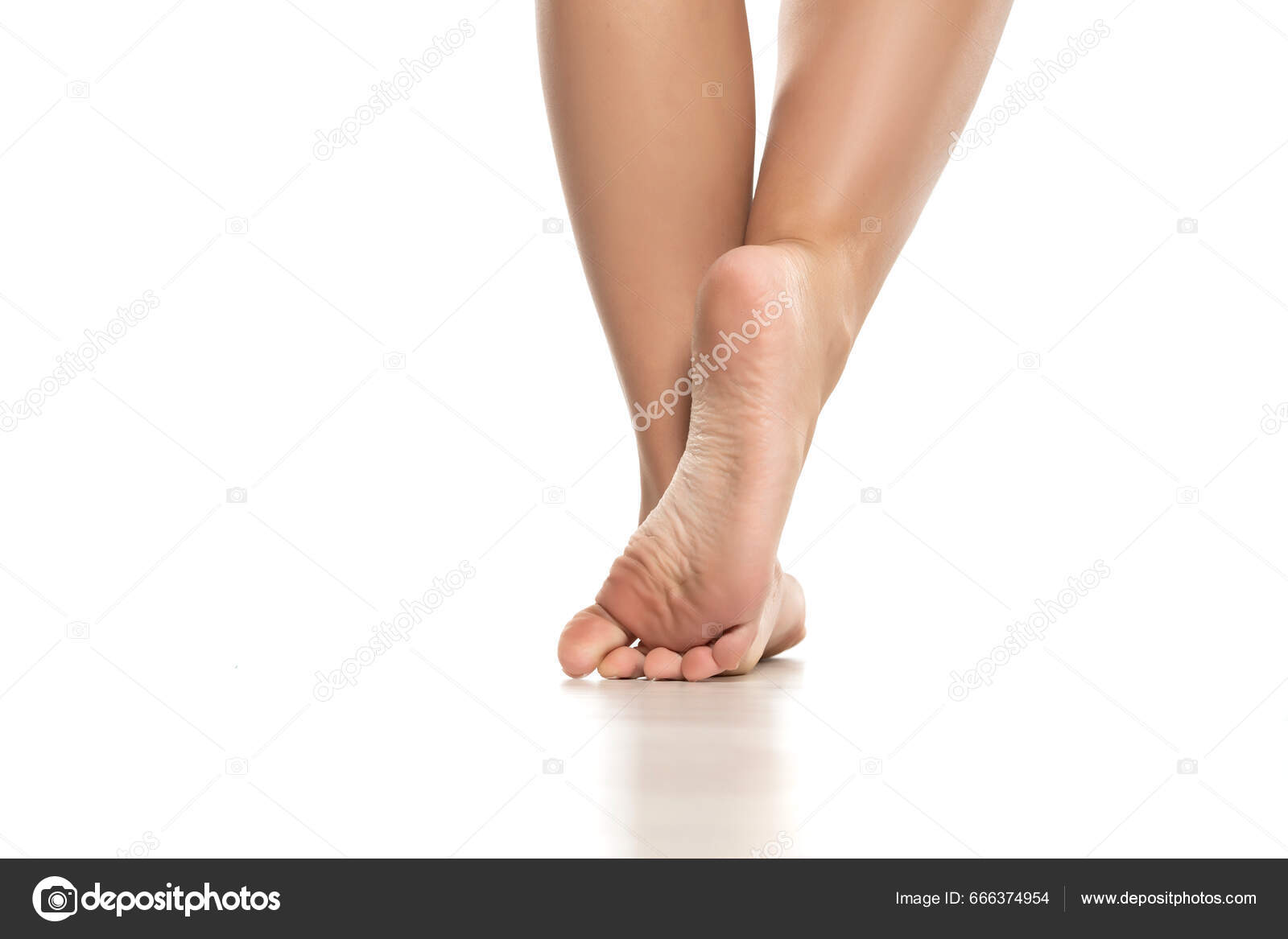 Back View Beautifully Cared Female Bare Feet White Studio Background ...