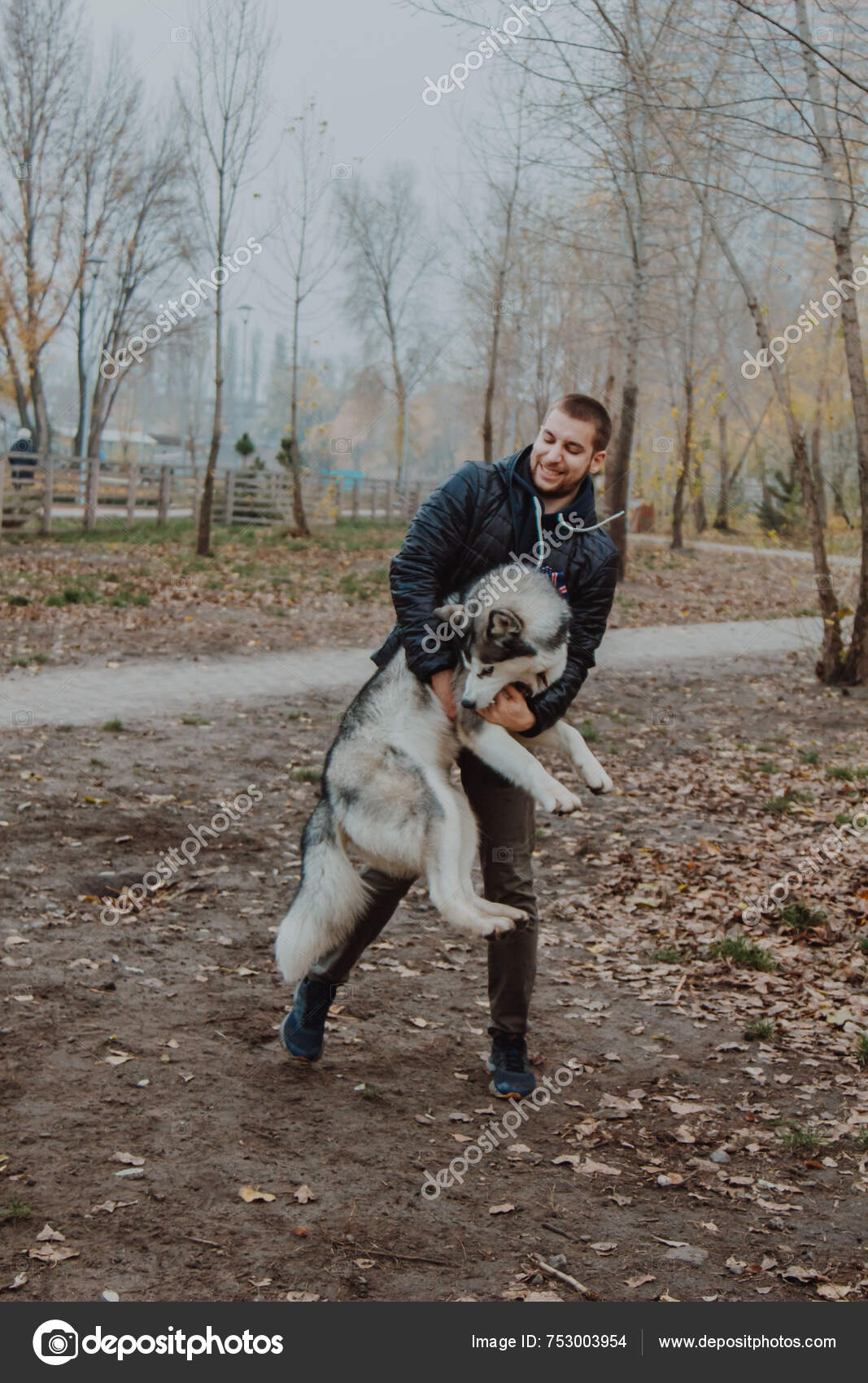 Animal Human Interaction Concept Psychology Man Holds Large Dog His ...