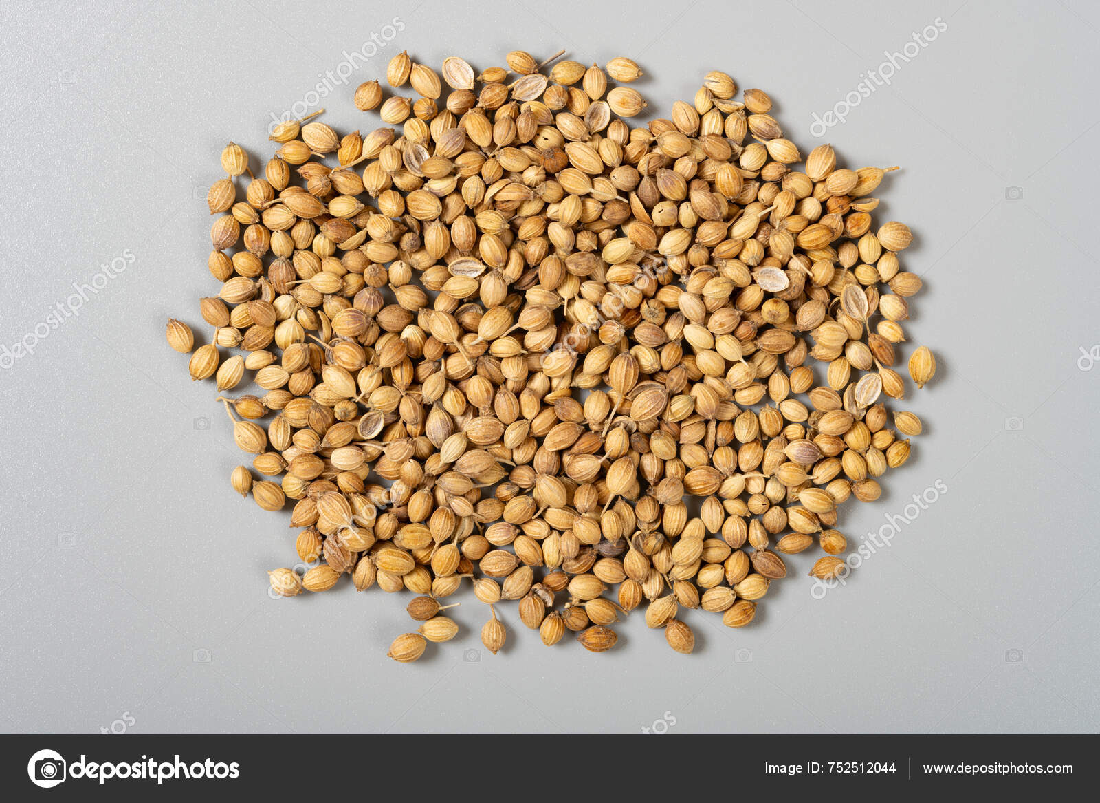 Top View Herb Xiangcaizi Husuizi Fructus Coriandri Coriander Fruit ...