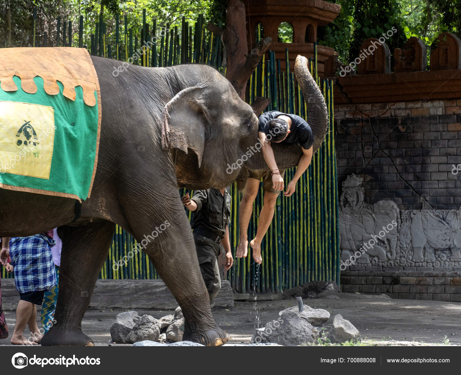 Bali Safari Indonesia 2024 Bali Indonesia Performance Elephants 2024 — Stock Editorial Photo ...