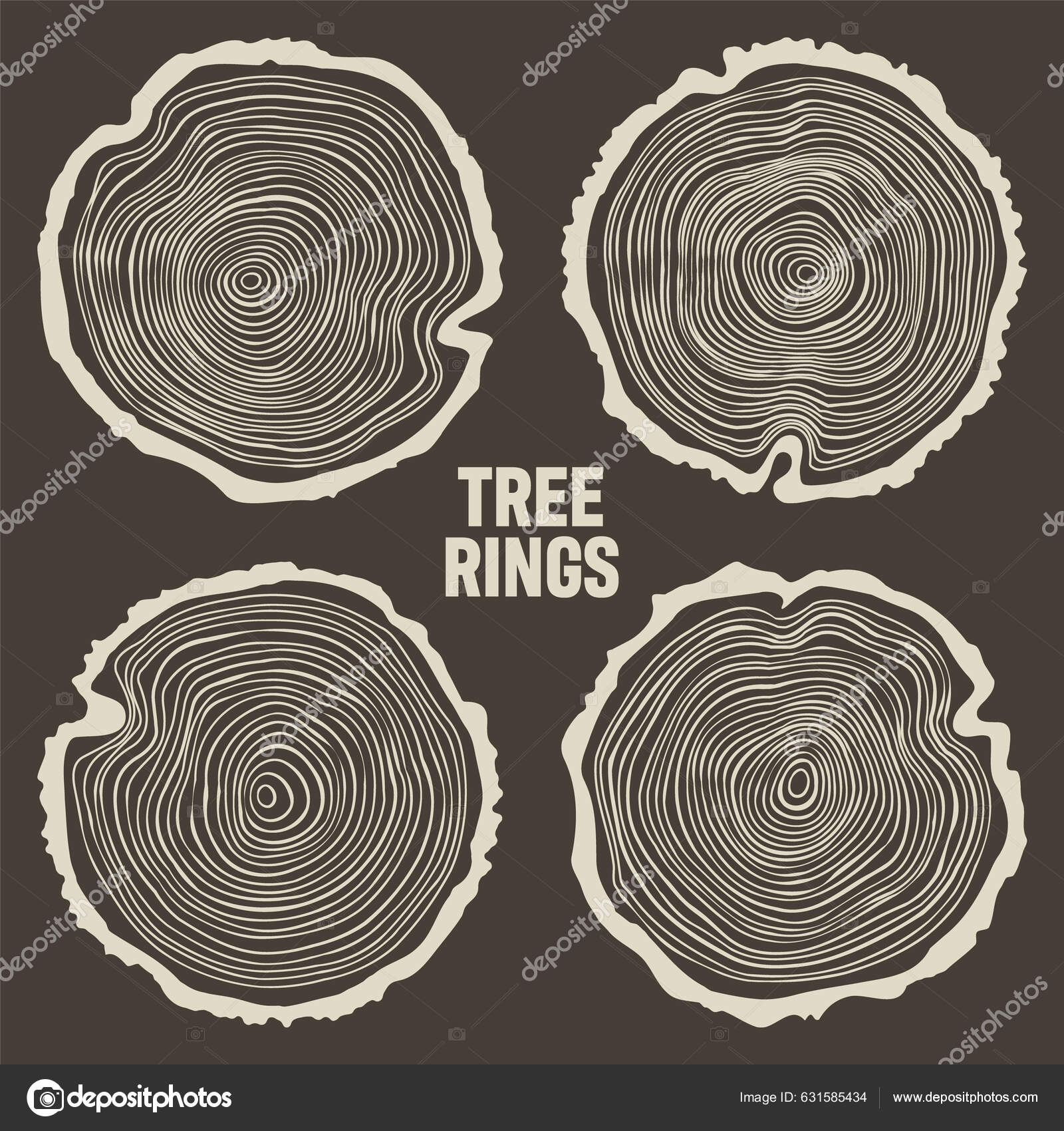 Tree Trunk Cuts Sawn Pine Oak Slices Lumber Saw Cut Stock Vector by ...