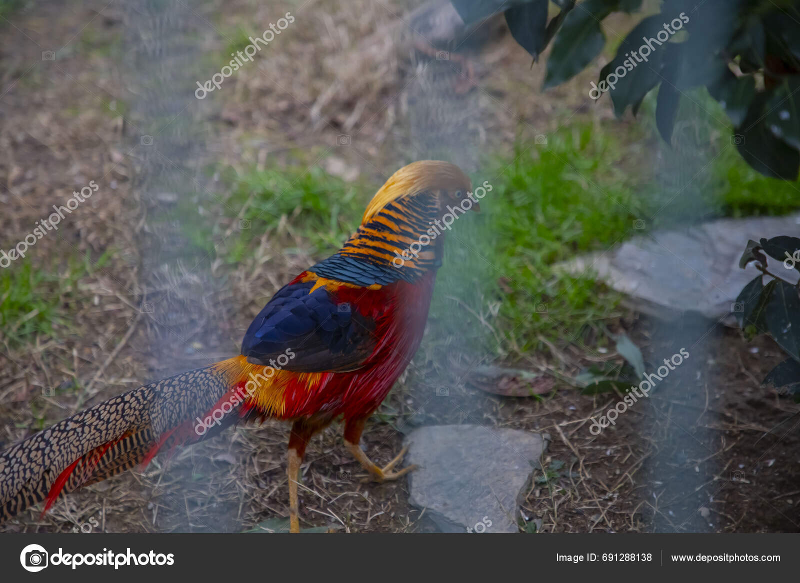 Darca Faruk Yalcin Zoo Unique Day Long Experience Turkey's Most Stock ...