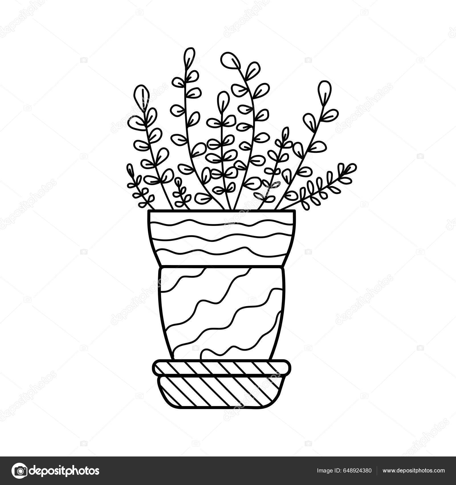 Home Flower Pot Drawn Outline Stock Vector by ©olga_krutii02 648924380