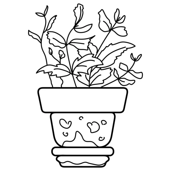 Home Flower Pot Drawn Outline Stock Vector by ©olga_krutii02 648924380