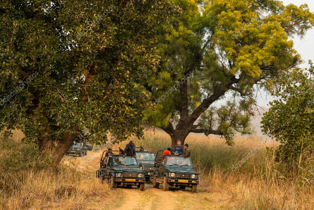 panna national park, madhya pradesh, India - December 24, 2022 ...