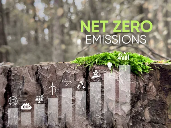 Zéro net Stock Photos, Royalty Free Zéro net Images | Depositphotos