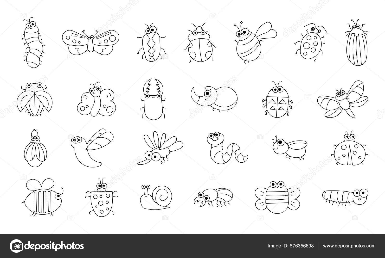 Desenhos De Insetos E Insetos Para Colorir