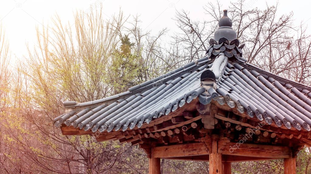 Hermosa casa oriental en la azotea en el jardín tradicional coreano ...