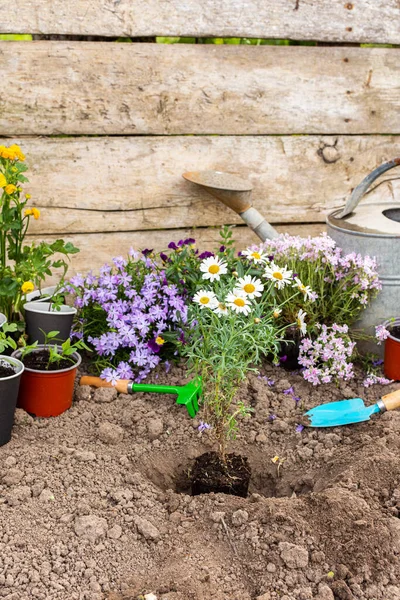 Planting station Stock Photos, Royalty Free Planting station Images ...