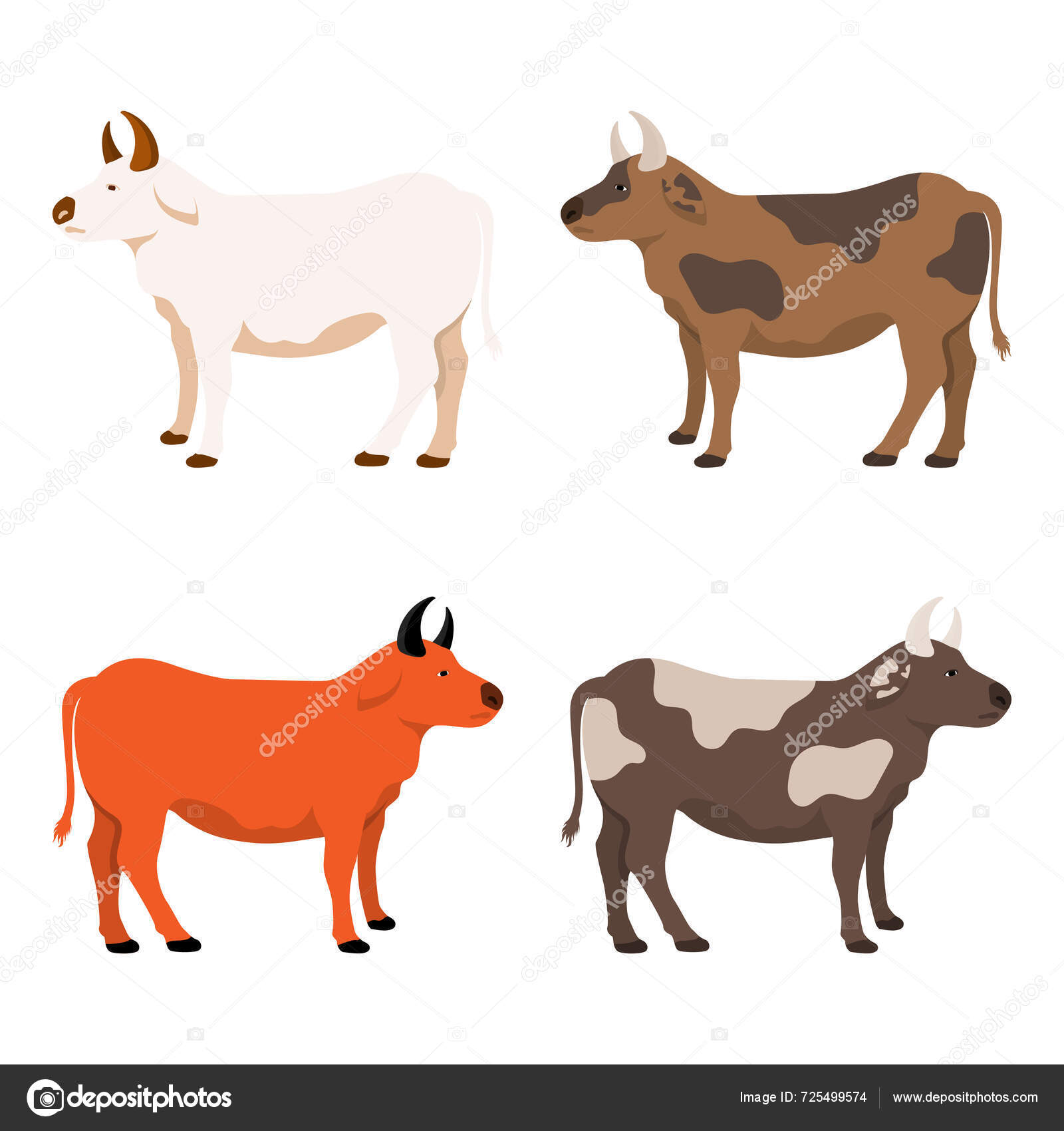Cow Vector Illustration Design Set Collection Cow Illustration Stock ...