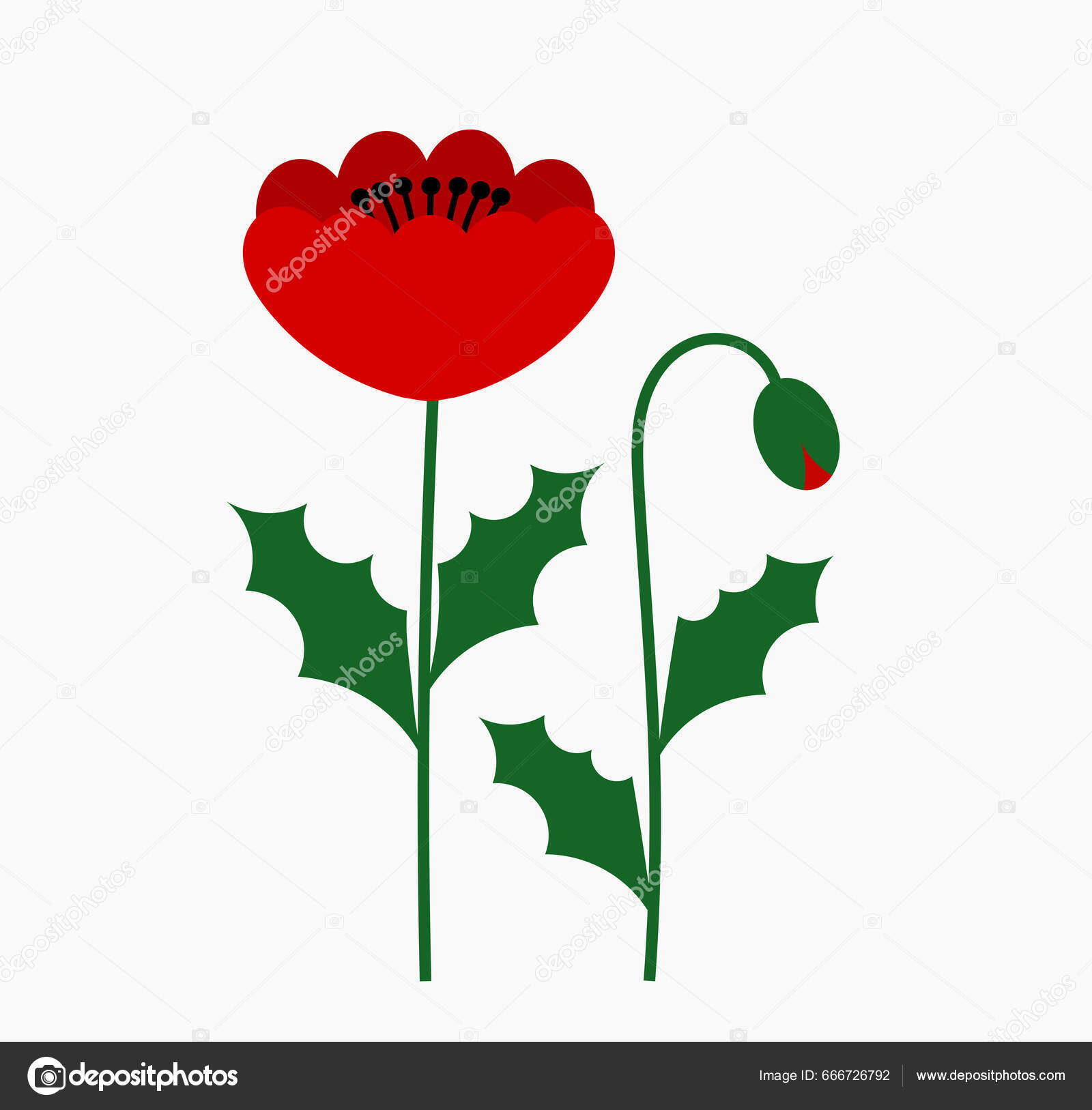 Flores Amapola Plantas Ilustración Vectorial Vector de stock por ...