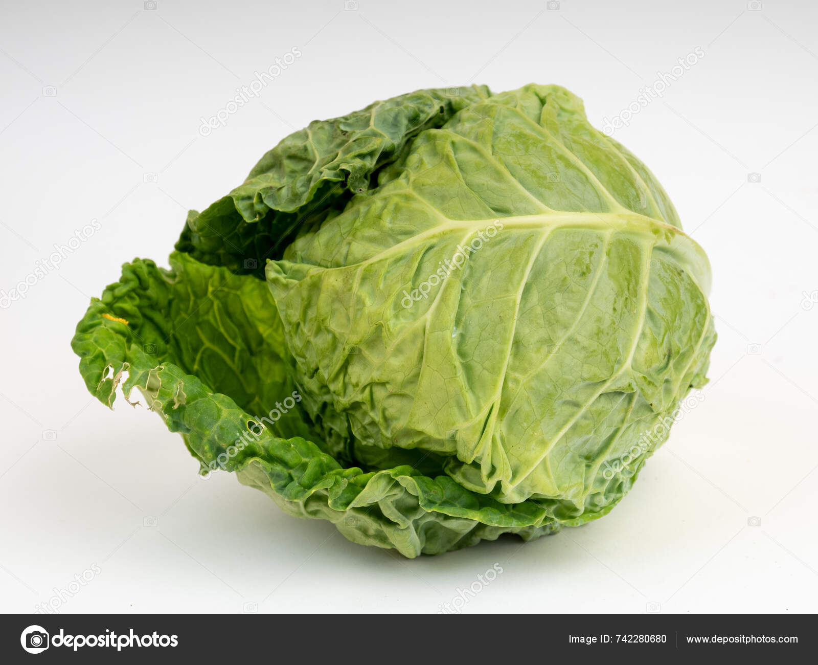 Cabbage Isolated Transparent Background — Stock Photo © orafotograf ...