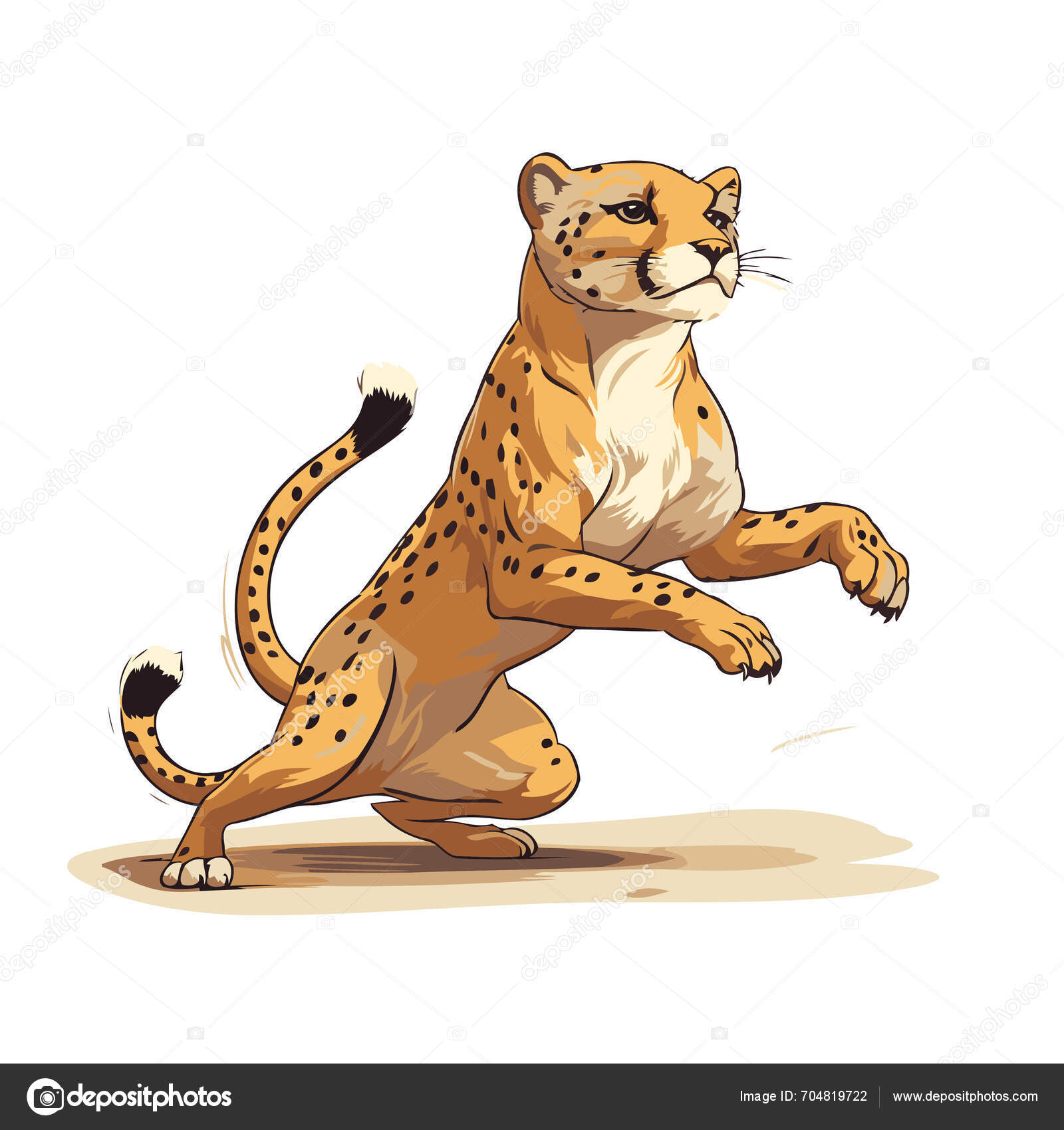 Cheetah Running Isolated White Background Vector Cartoon Illustration ...