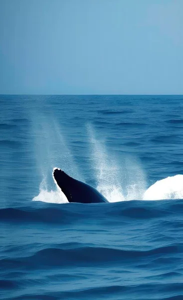 Whale logging Stock Photos, Royalty Free Whale logging Images ...