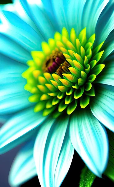 Flor de la gerbera color turquesa fotos de stock, imágenes de Flor de ...